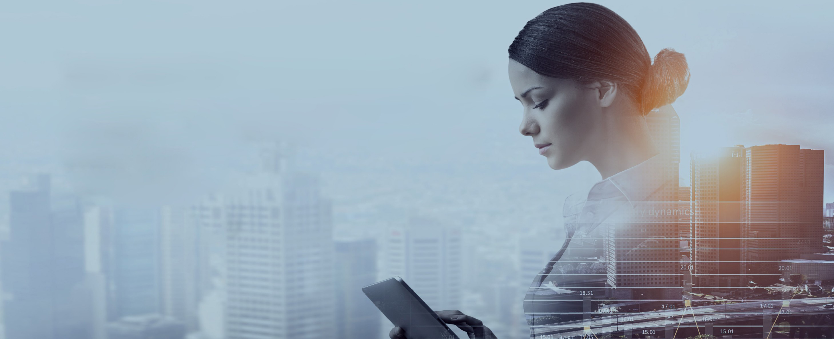 Techsphere Solutions LLC – IT Consulting and Development