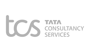 Techsphere Solutions LLC – IT Consulting and Development